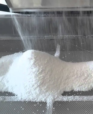 VV Industries – Largest Desiccated Coconut Powder manufacturers and ...